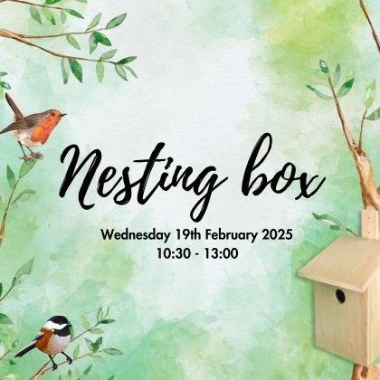 Build a Bird Box - Ventnor Botanic Garden